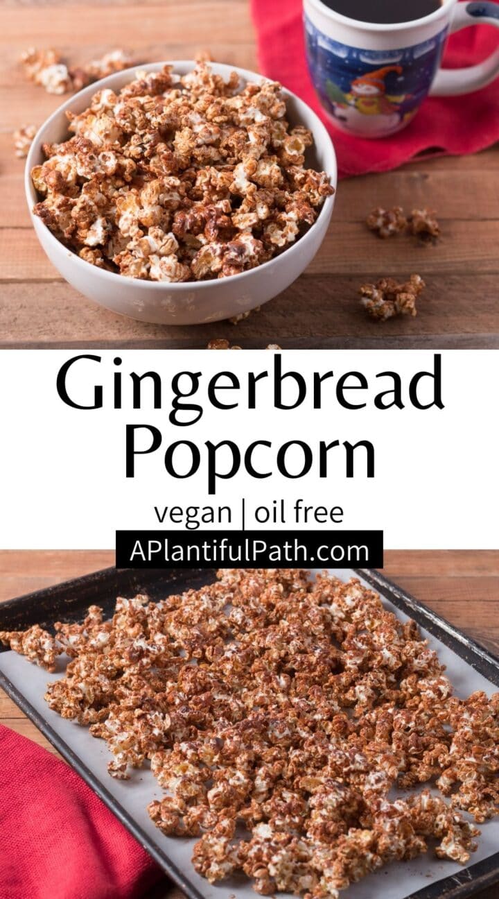 Gingerbread Popcorn - Easy & Oil Free - A Plantiful Path