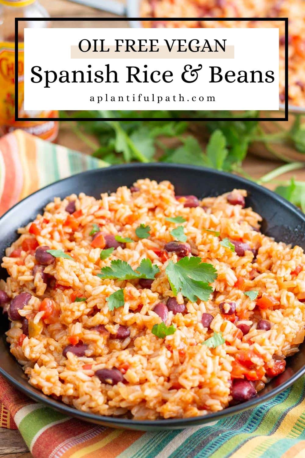 Spanish Rice and Beans - A Plantiful Path