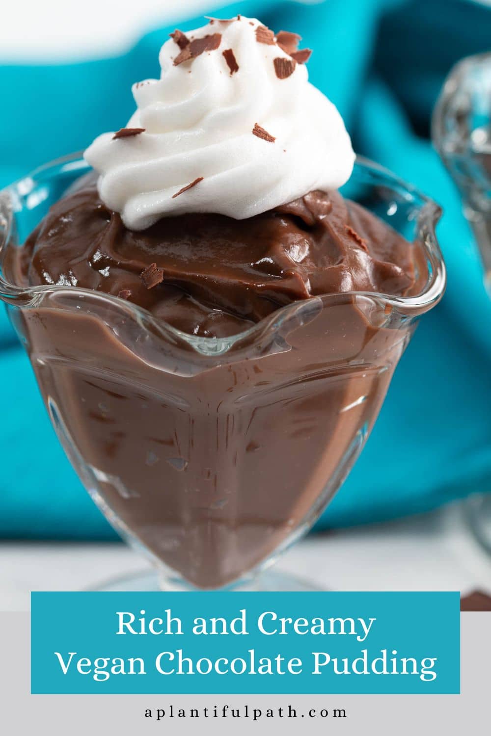 Vegan Chocolate Pudding - A Plantiful Path